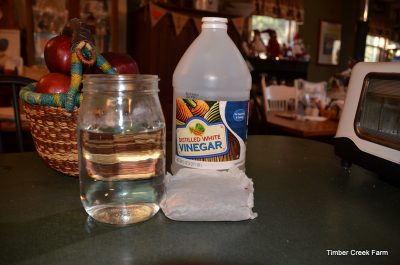 Solar Dyeing Wool Using Natural Plants - Countryside